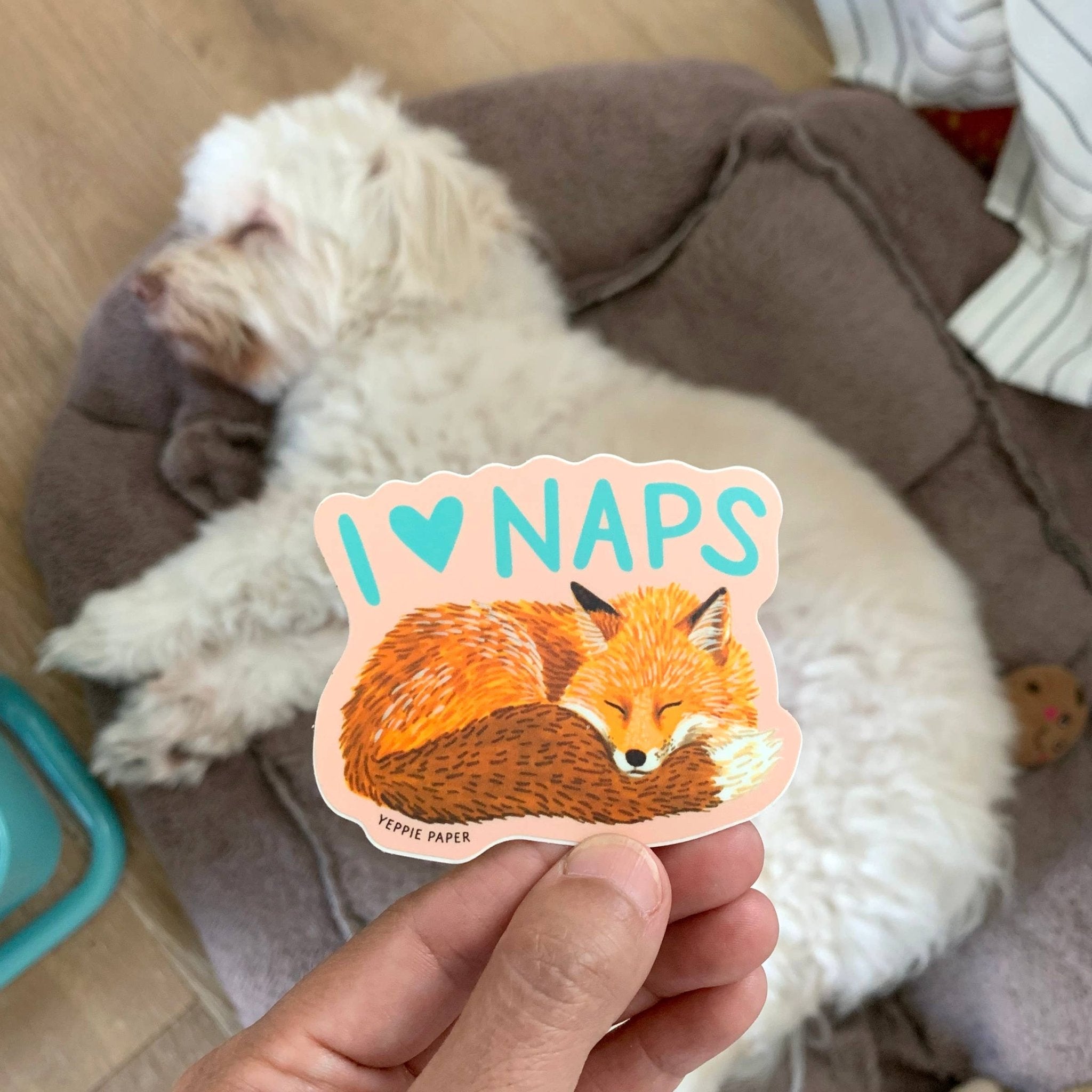 Napping Fox Sticker - Spiral Circle